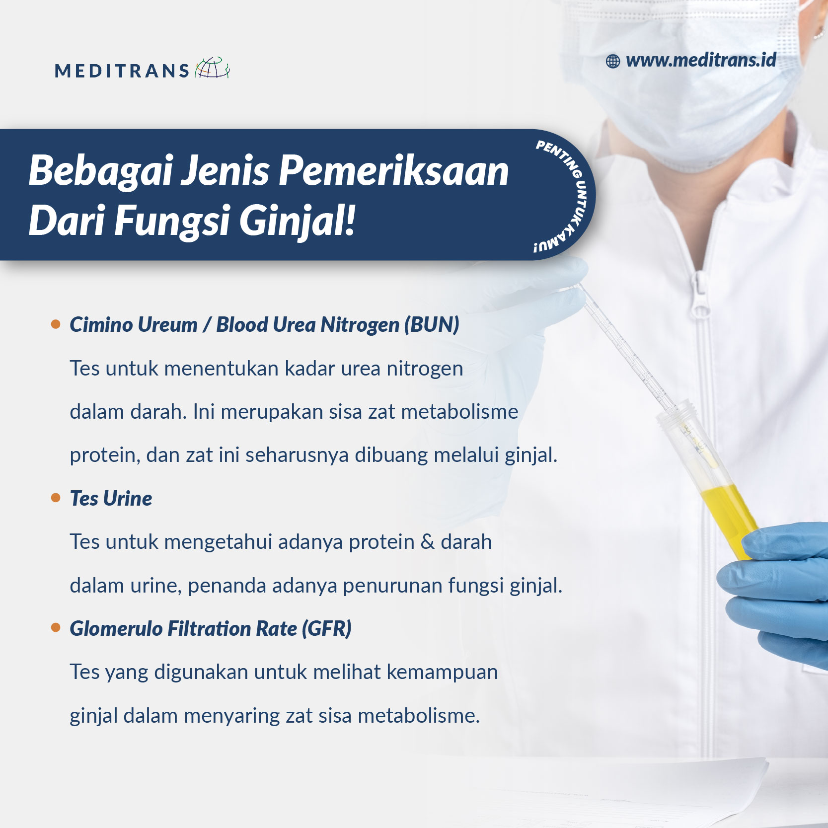 Berbagai Jenis Pemeriksaan Fungsi Ginjal - Selaras Technology Indonesia
